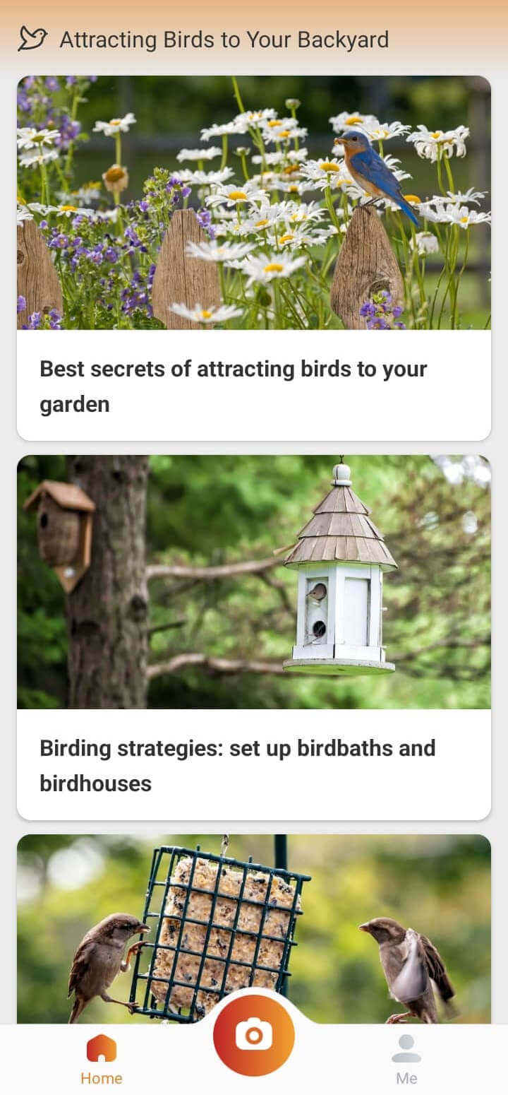 Picture Bird - Bird Identifier - Apps-4-U