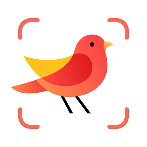Picture Bird - Bird Identifier - Apps2Have