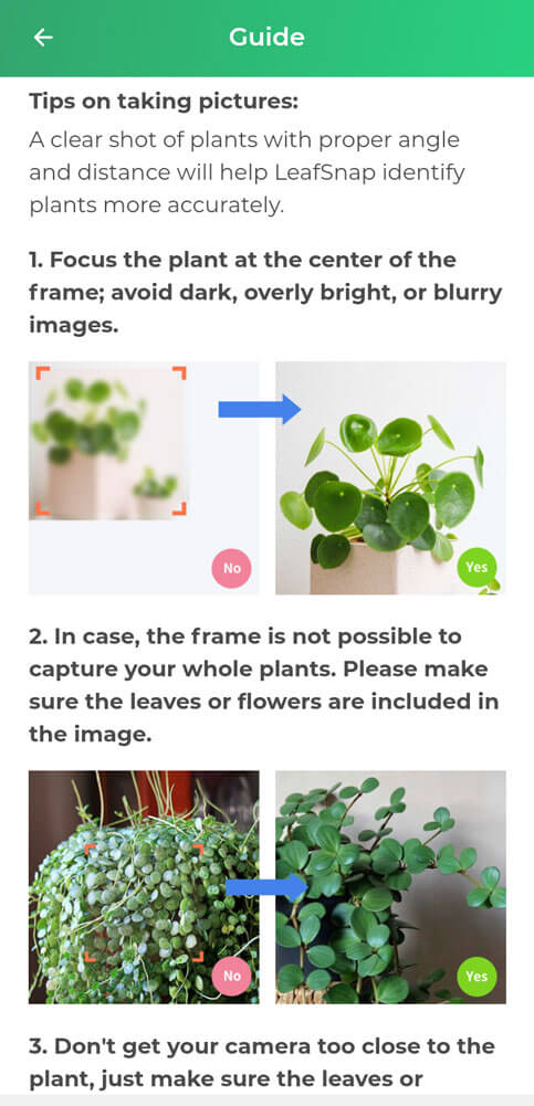 LeafSnap Plant Identification - Apps2Have