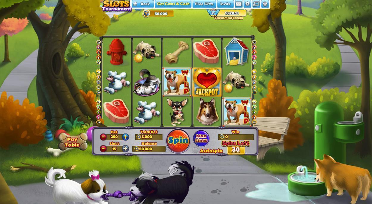 Zynga Slots - Caca Niquel Jogos