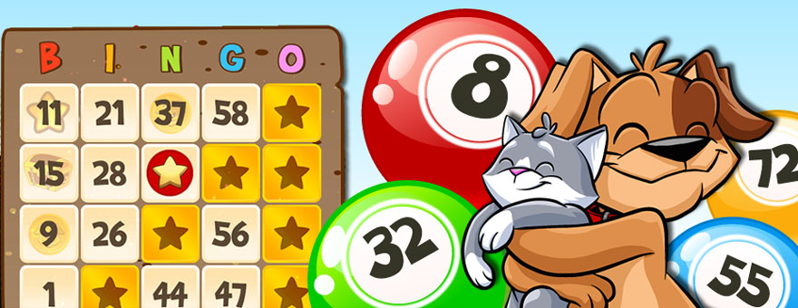 Bingo Abradoodle - Cool Games