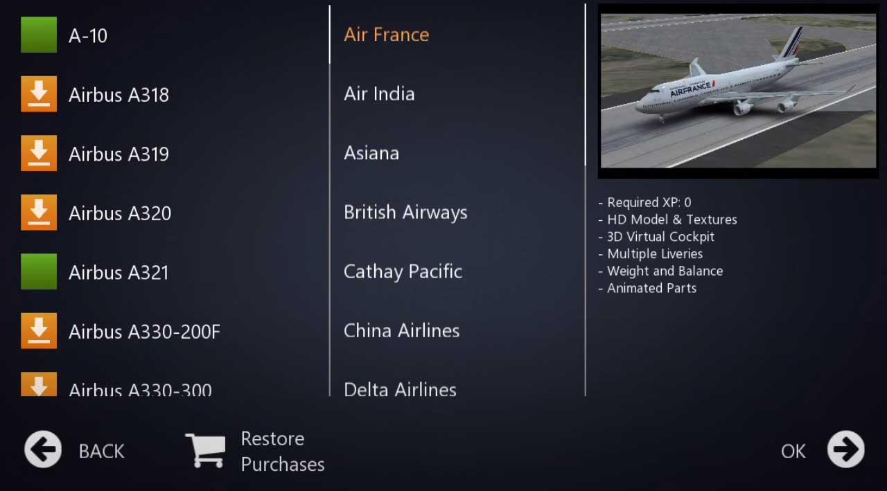 Infinite Flight Simulator - Cool Games
