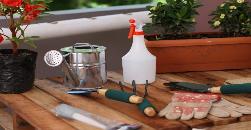 10 Tools You'll Need This Summer - Buy Discounted and Quality Tools in ...