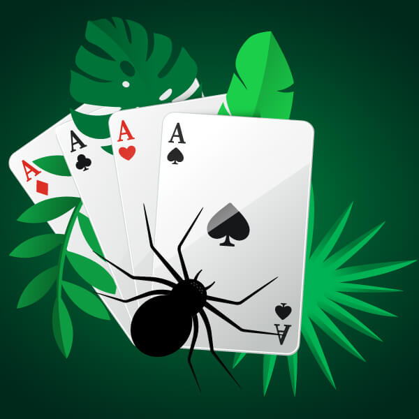 Jungle Spider - EZJO