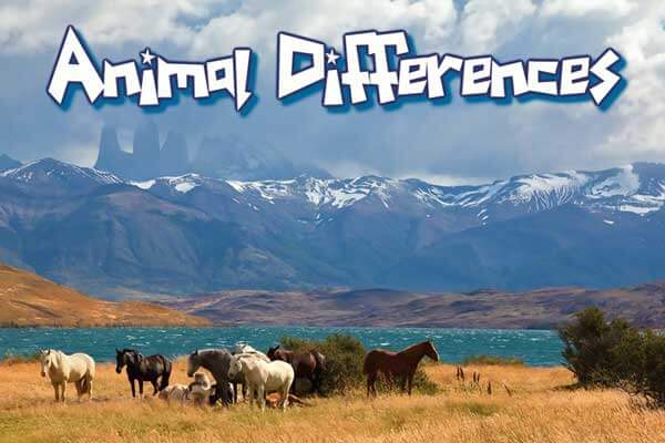 Spot the Difference Games List - Hidden Object Saga