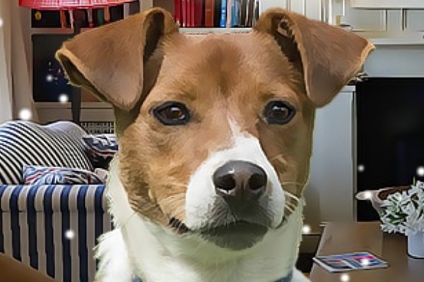 Hunting Jack - Hidden Object Saga