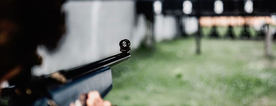 Can playing realistic target shooting games actually help with target ...