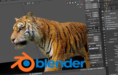 Tools Like IllusionMage Easy 3D Animation - Stimulating Creativity