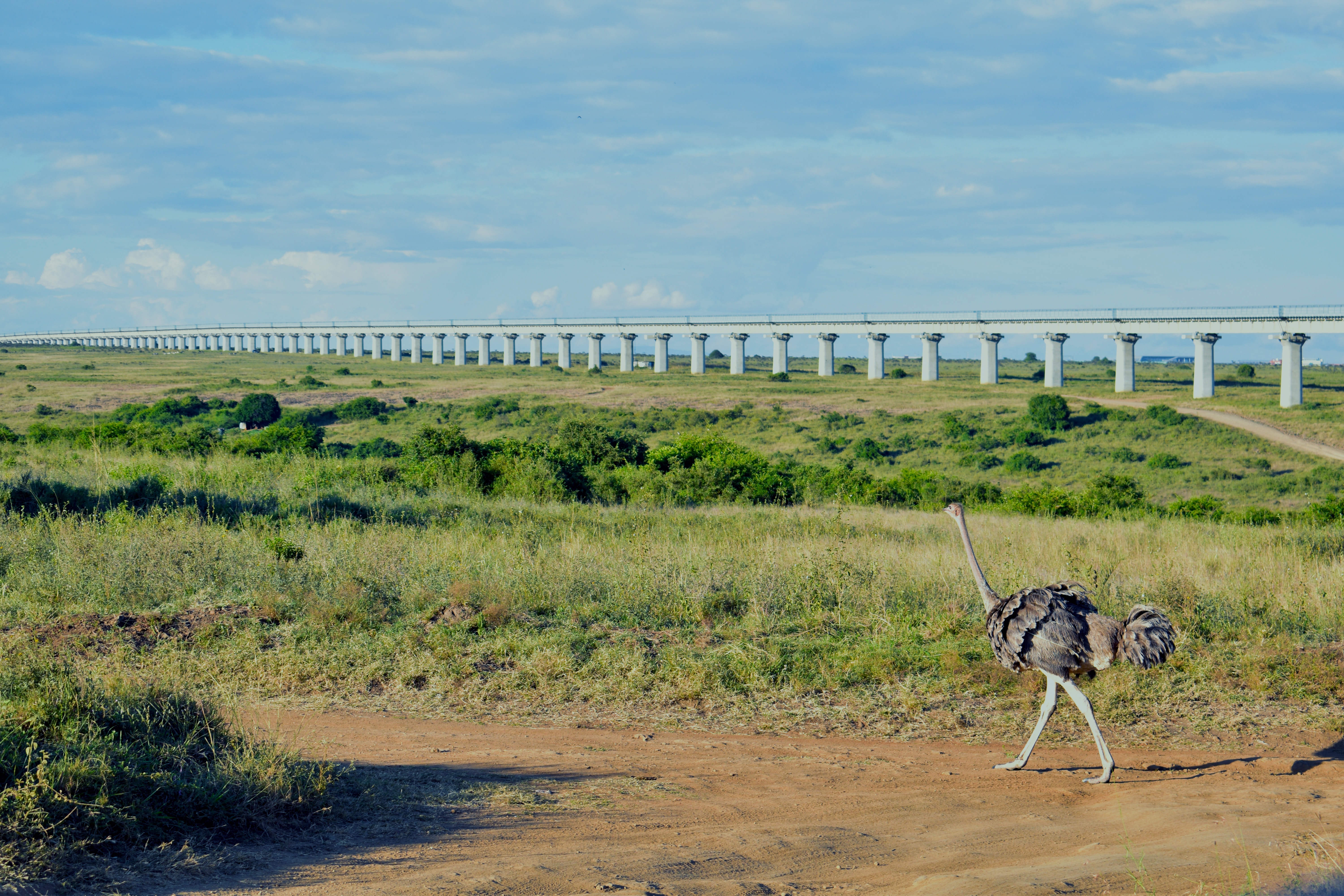 Nairobi National Park, Kenya - Vacation Explored