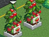 ChefVille - Virtual Worlds Land!
