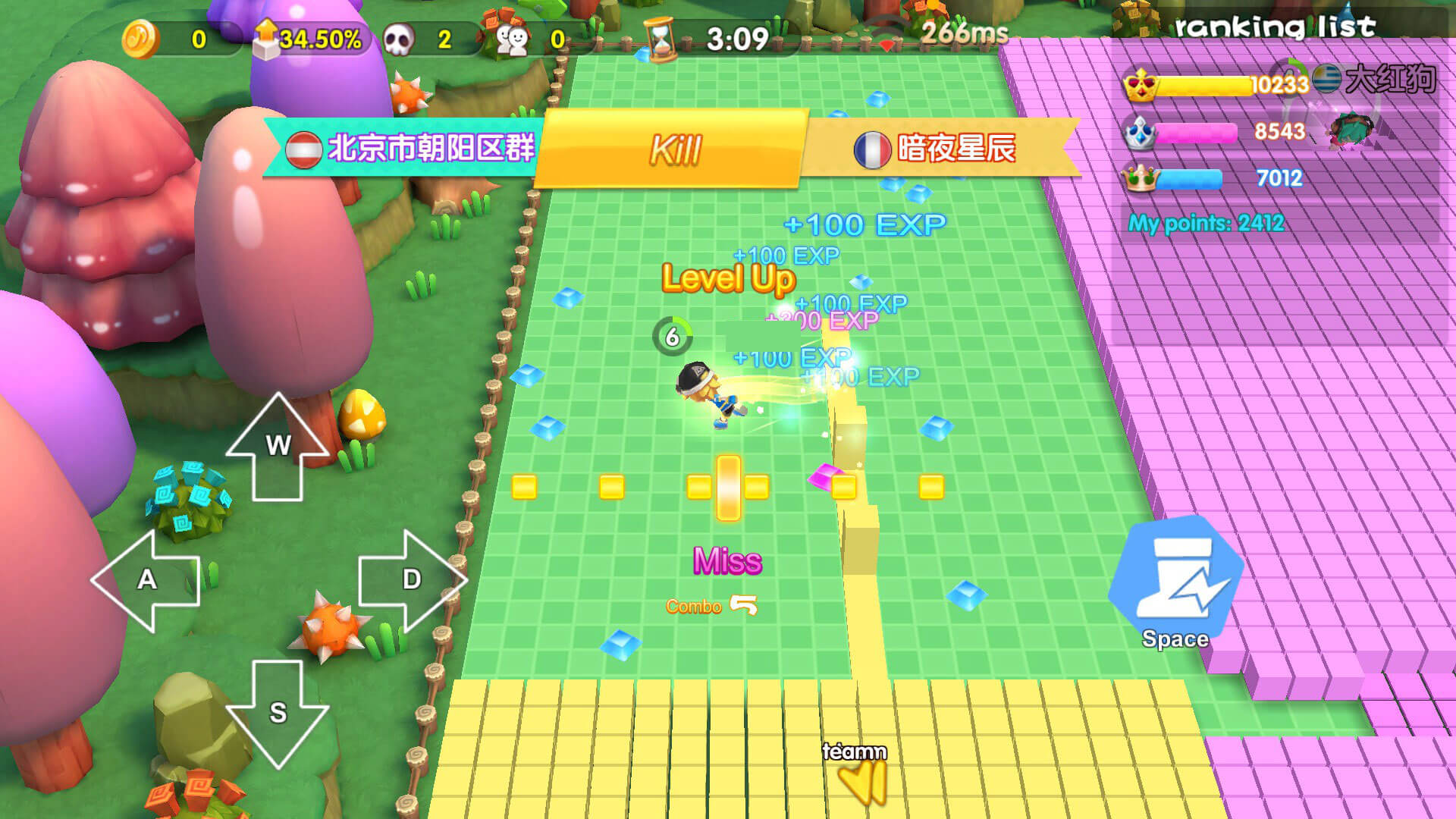 Classic Rodeo Play - WWGDB