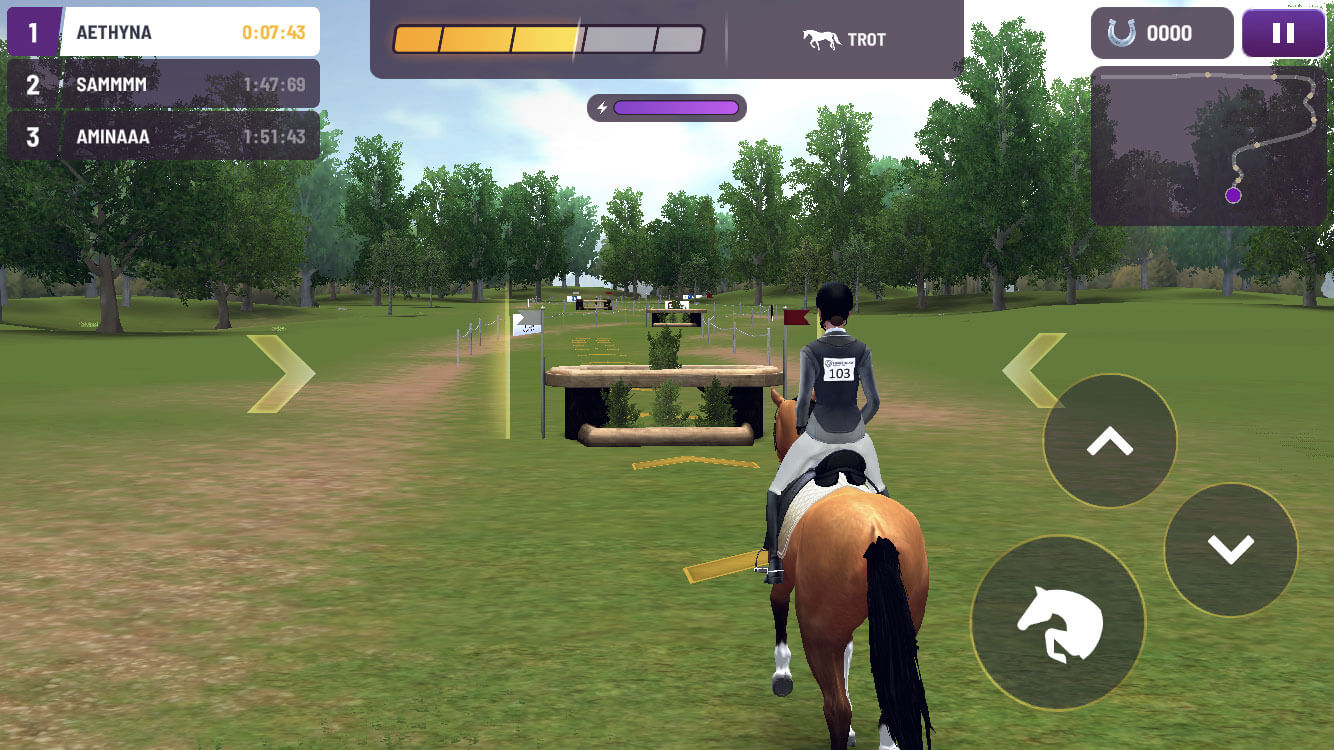 Equestriad World Tour - WWGDB